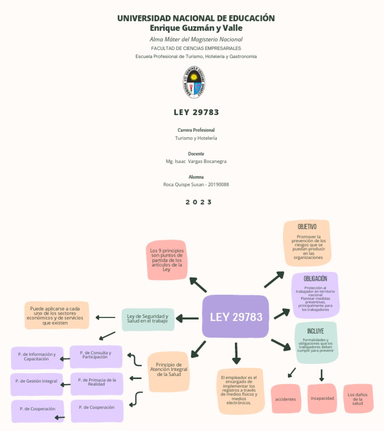 MAPA MENTAL ley 29783 | PDF