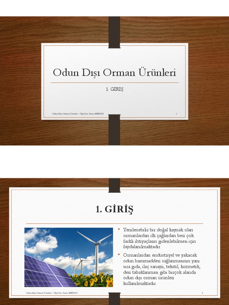 ORU201 Odun Disi Orman Urunleri Ders Notu | PDF