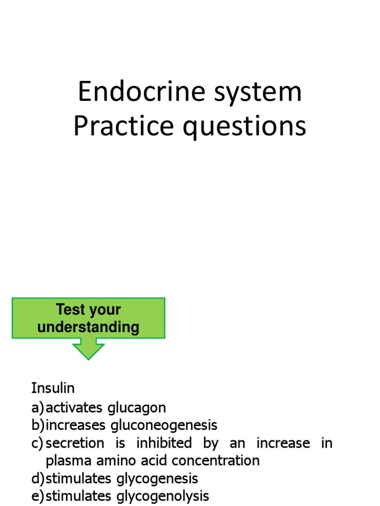 Endocrine System Practice Questions PDF | PDF | Pituitary Gland ...