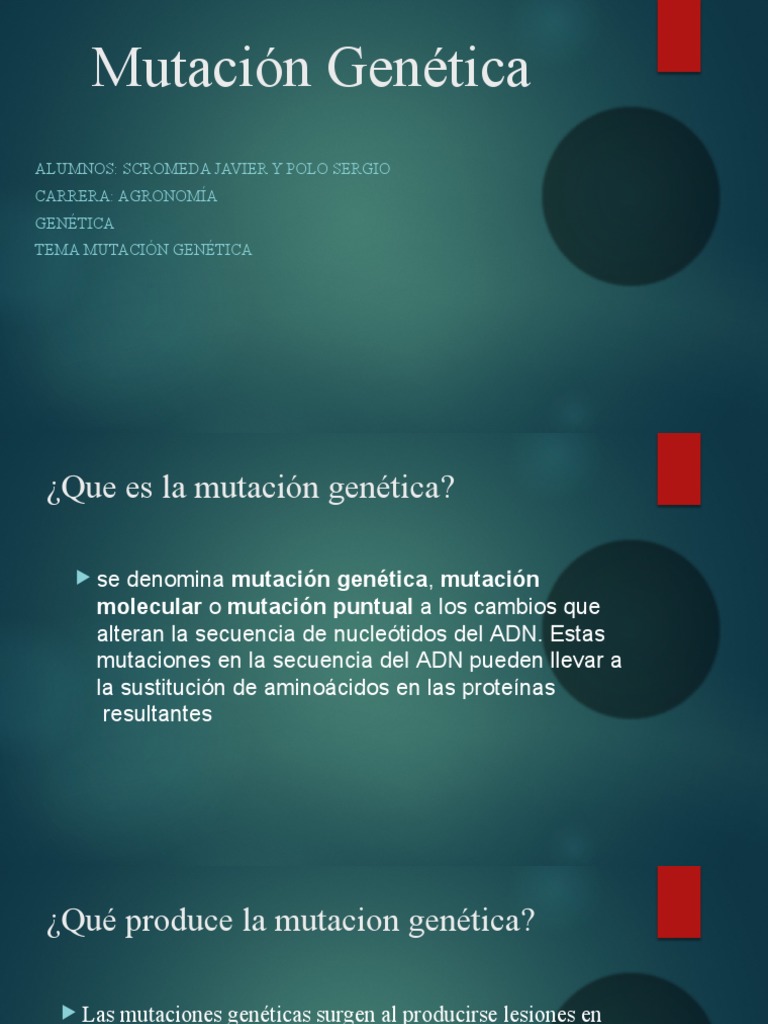 Mutación Genética - 115619 | PDF | Mutación | Gene