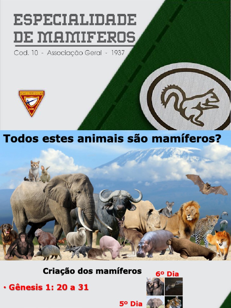 ESPECIALIDADE MAMÍFEROS | PDF | Morcego | Mamíferos