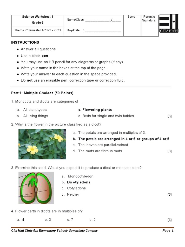 Answer Key - Science Worksheet 1 - Theme 2 | PDF