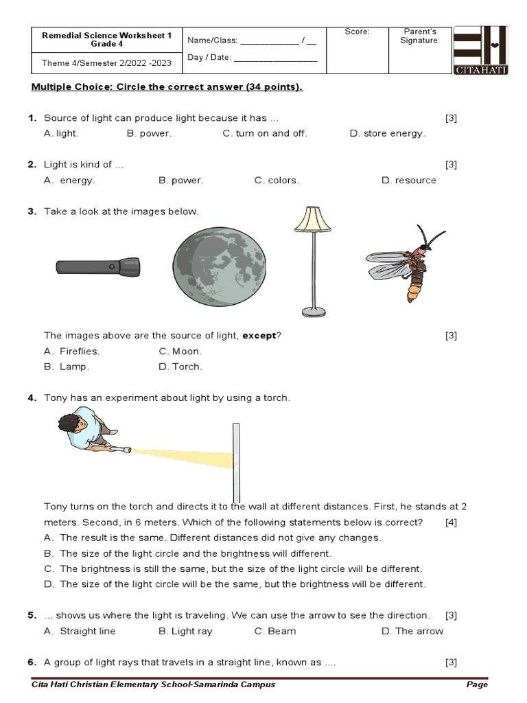 (Checked) Remedial - Science Worksheet 1 | PDF