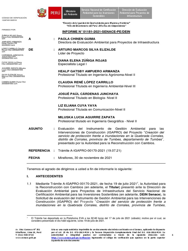 Igapro-Informe 01181 2021 Senace Pe Dein | PDF | Evaluación de impacto ...