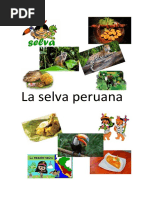 Relieve de La Selva Peruana | PDF | Perú | Andes