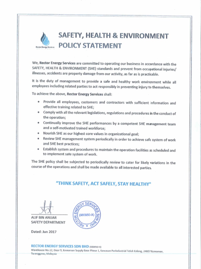 She Policy Statement | PDF