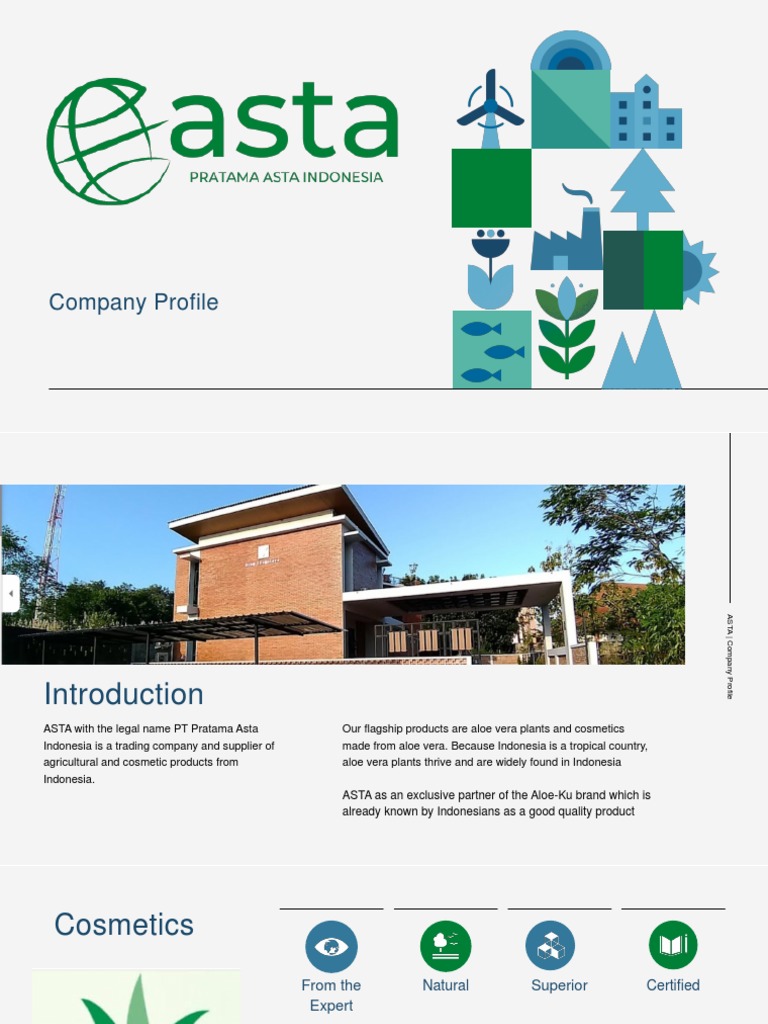 Asta Company Profile | PDF
