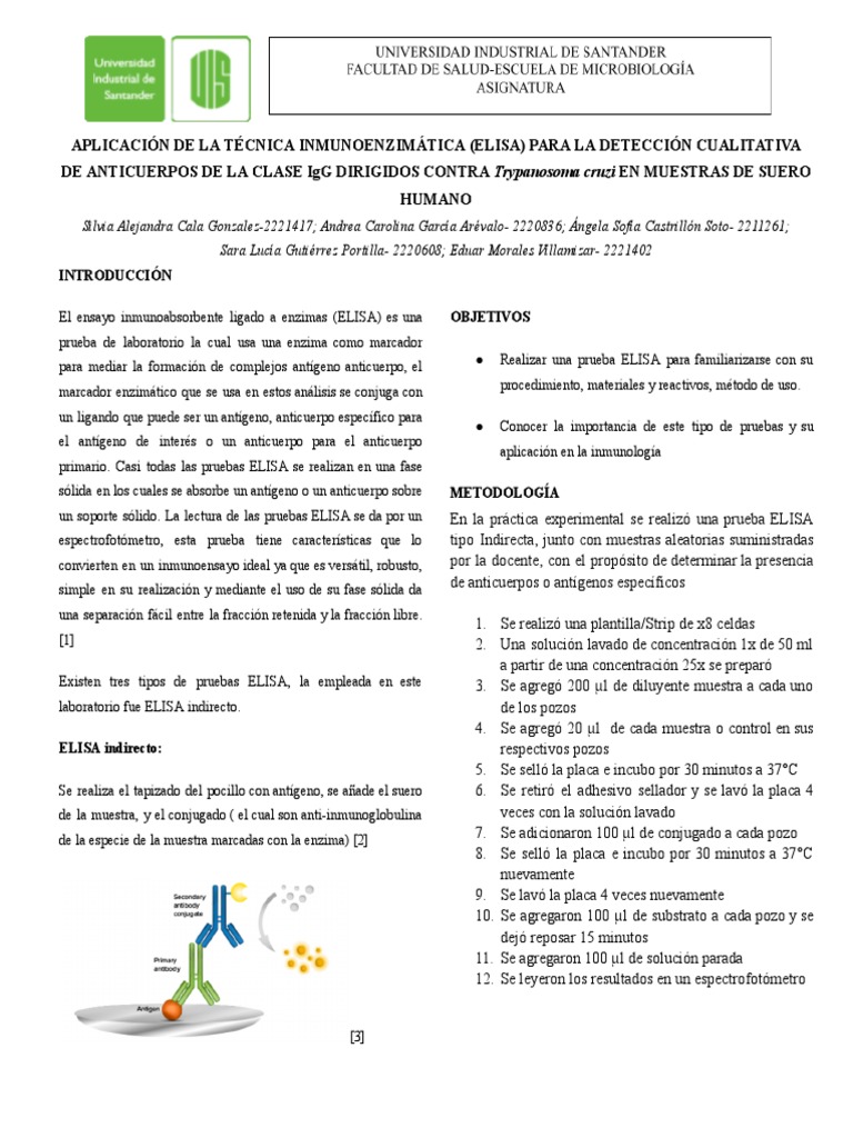 Informe 04 - ELISA | PDF
