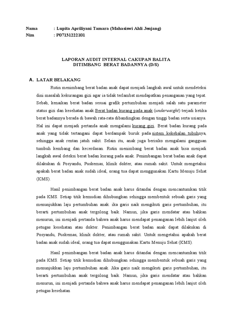 Audit Internal Tugas Buk Rahma | PDF