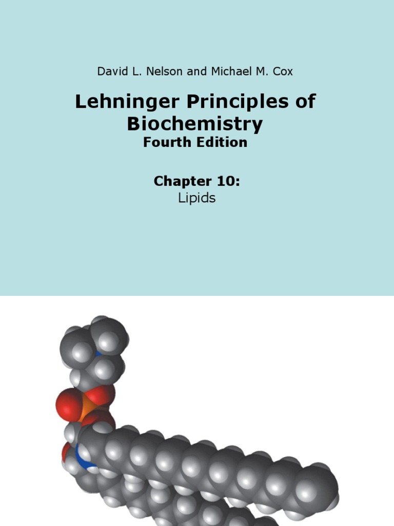 Lehninger Principles of Biochemistry: Fourth Edition | PDF