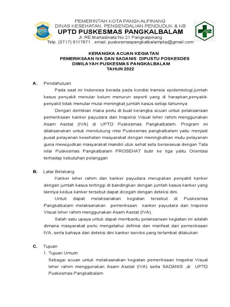 Kak Pemeriksaan Iva 2022 | PDF