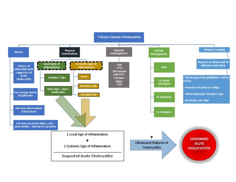 Acute Calcular Cholecystitis Protocol Diagnosis Algorithm | PDF ...