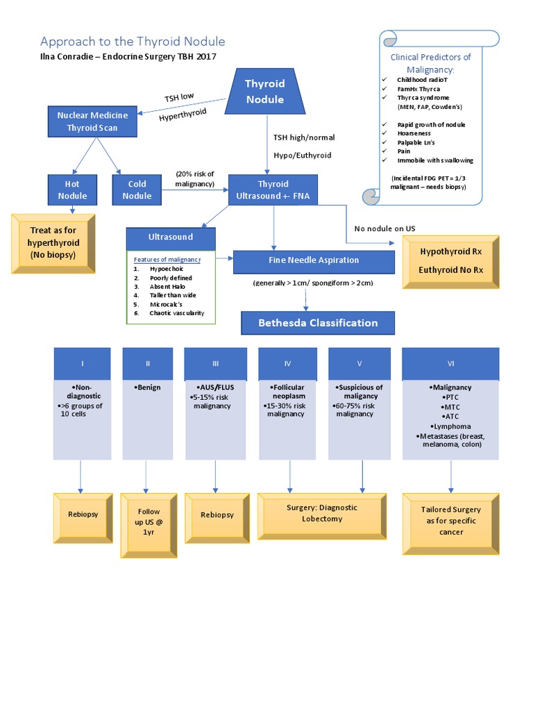 Algorithm Thyroid Nodule Pdf 6742