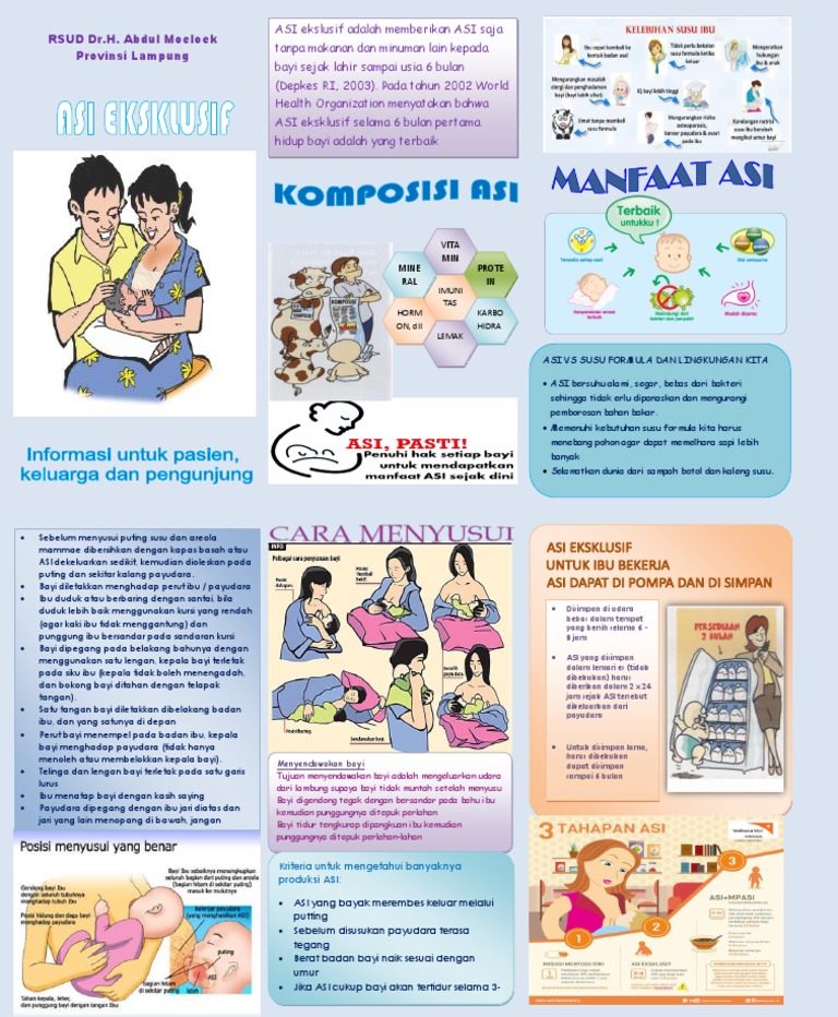 2022 Leaflet ASI | PDF