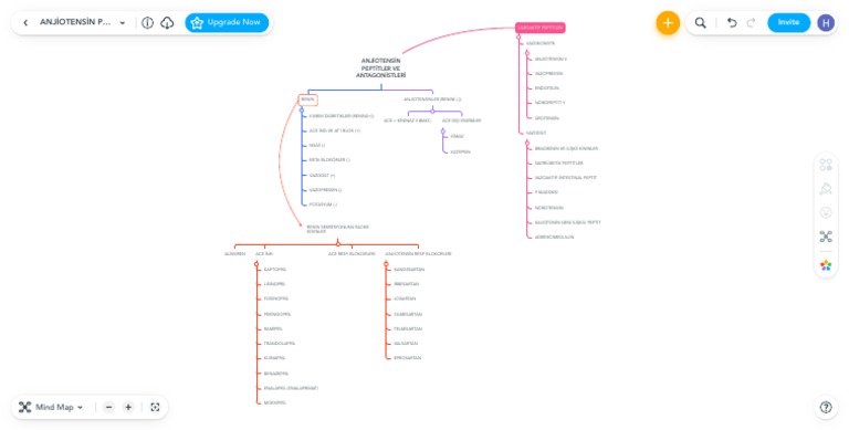 ANJİOTENSİN PEPTİTLER VE ANTAGONİSTLERİ - MindMeister Mind Map | PDF
