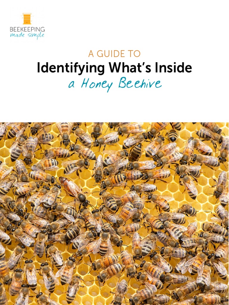 YtaU1CkHRDyaSaUF0ESx BeeIDGuide | PDF | Beehive | Bees