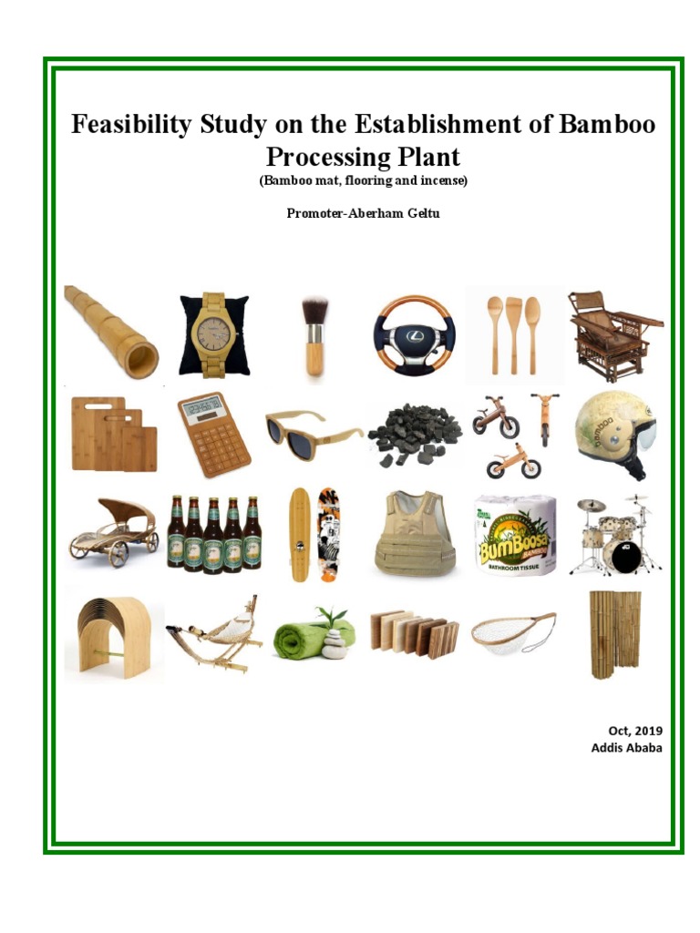 Bamboo Processing Plant Feasibility Study | PDF