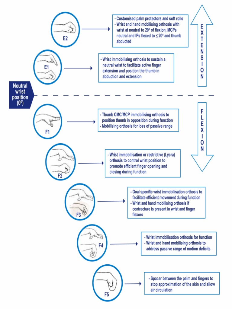 Wrist Extension and Flexion | PDF