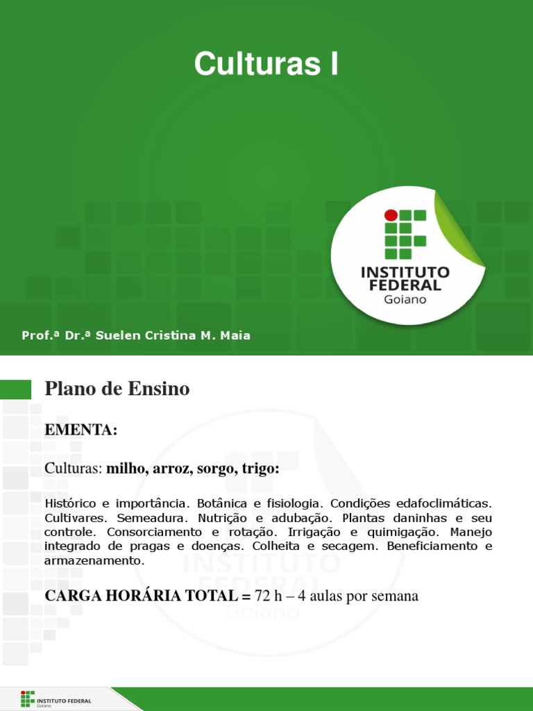 Aula1-Cultura Do Milho | PDF | Milho | Agricultura