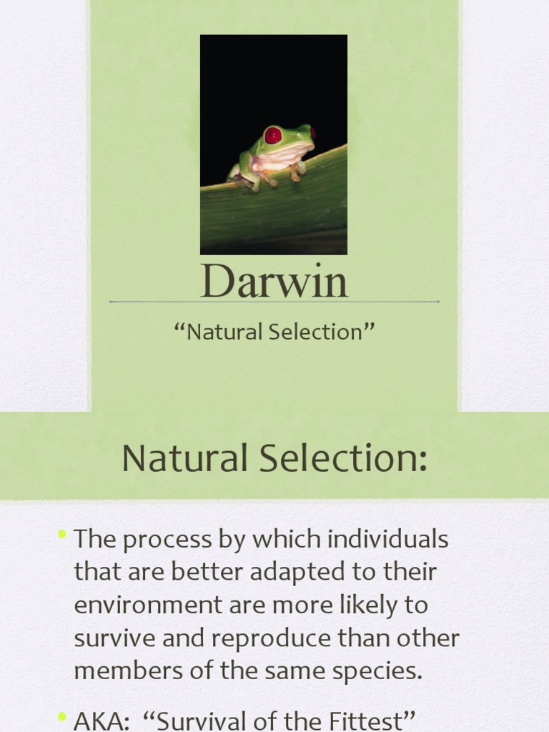 Darwin vs. Lamarck: Evolution Theories | PDF | Self-Improvement