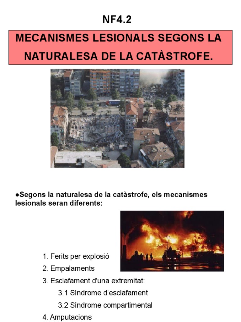 NF4.2 Mecanismes Lesionals | PDF