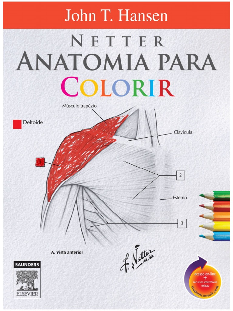 Anatomia Para Colorir Pdf