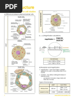A Level Biology: Cell Structure Notes | PDF | Wellness