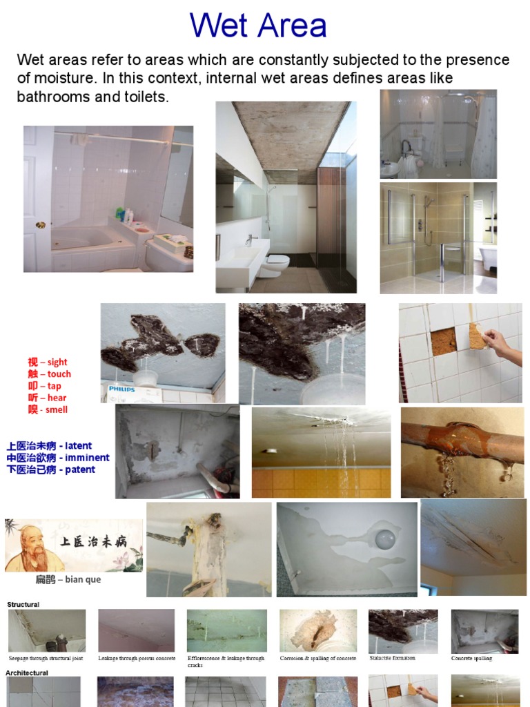 Lecture 2 - Wet Area - 2023 - 2 | PDF