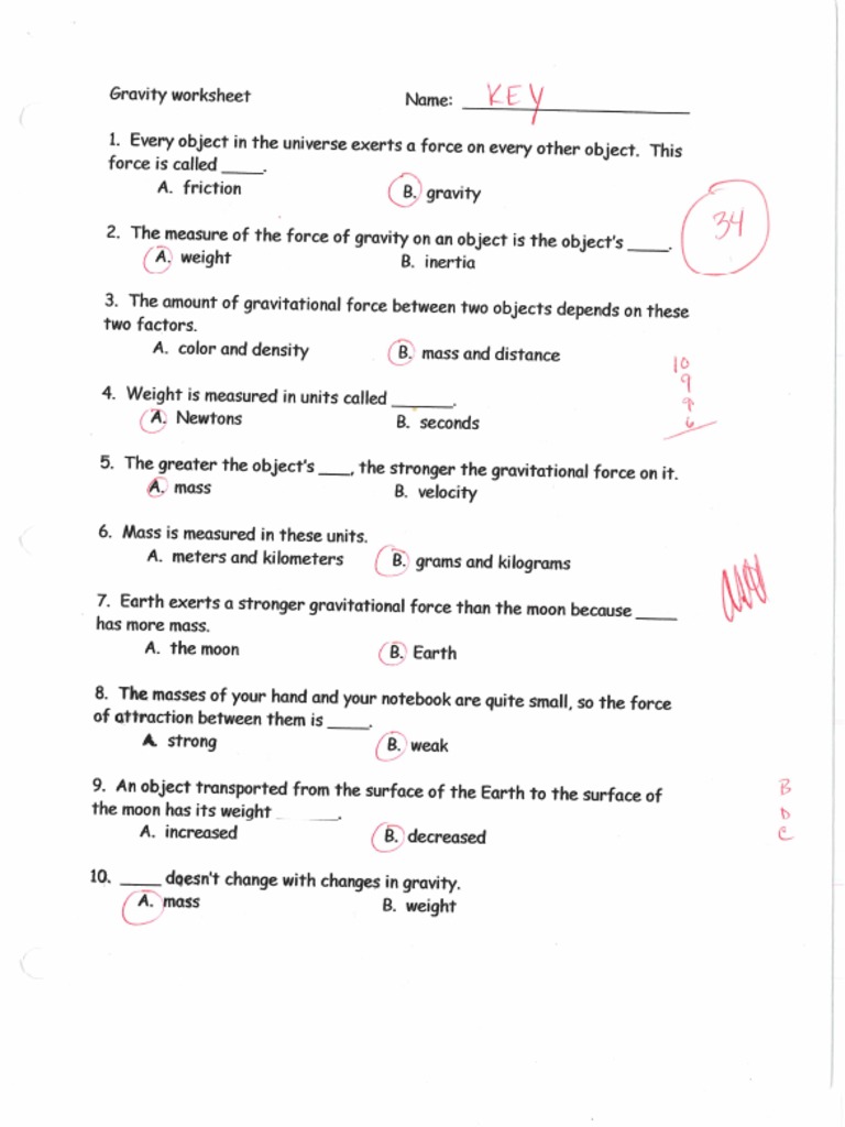 Gravity Worksheet Answers | PDF