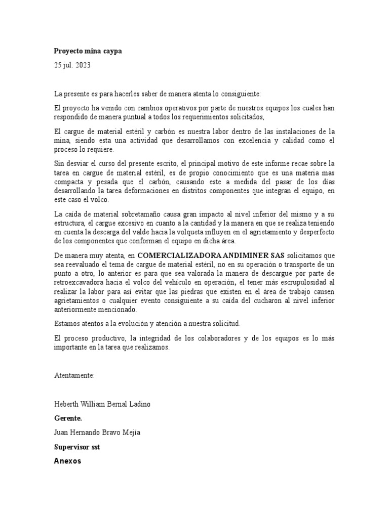 Proyecto Mina Caypa | PDF