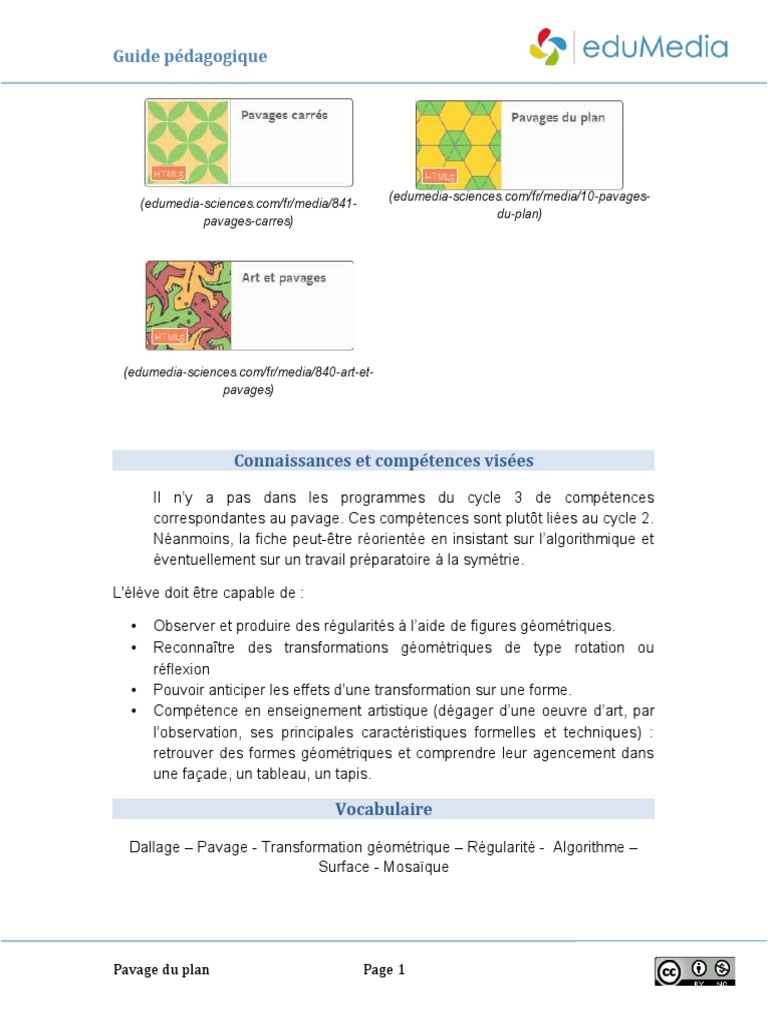 Fiche Pavages Du Plan | PDF
