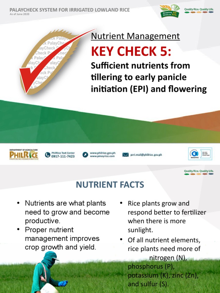 Key Check 5 Nutrient Management | PDF