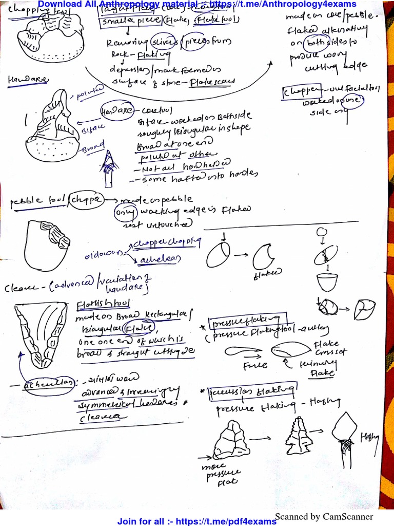 Anthro Tools and Sites@anthropology4exams | PDF