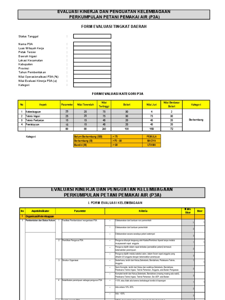 Form Evaluasi P3A Nasional | PDF