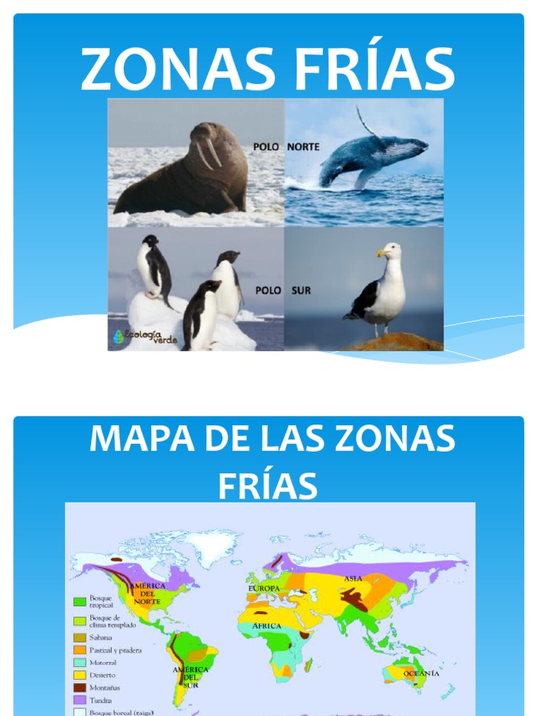 Zonas Frías | PDF