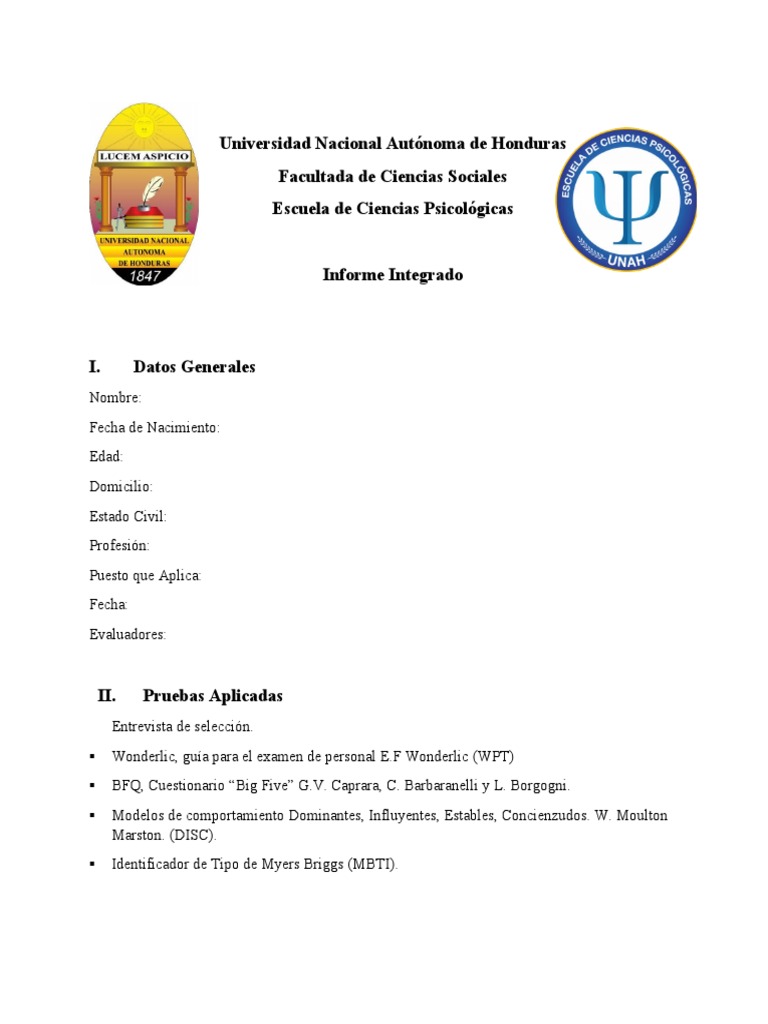 Ejemplo Informe Integrado | PDF