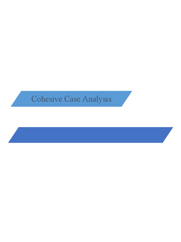 Cohesive Case Analysis Final Report | PDF