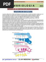 Músculos Constrictor y Rafe Faríngeo | PDF | Cabeza y cuello humanos ...