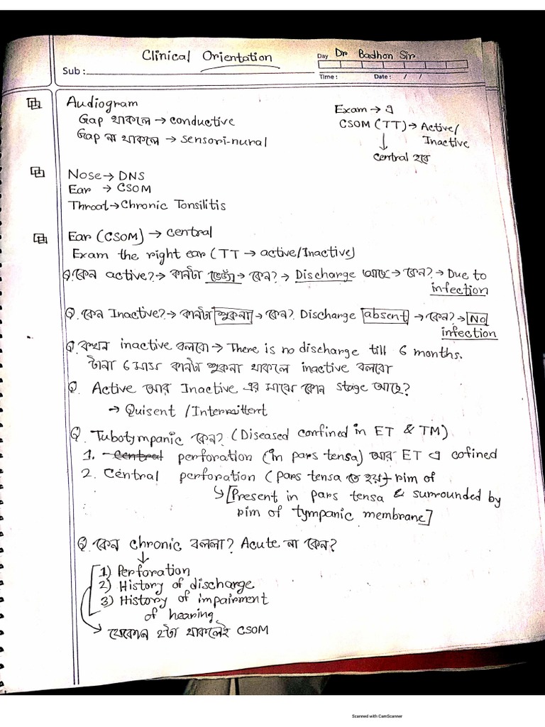 ENT-EXAMINATION For MBBS | PDF