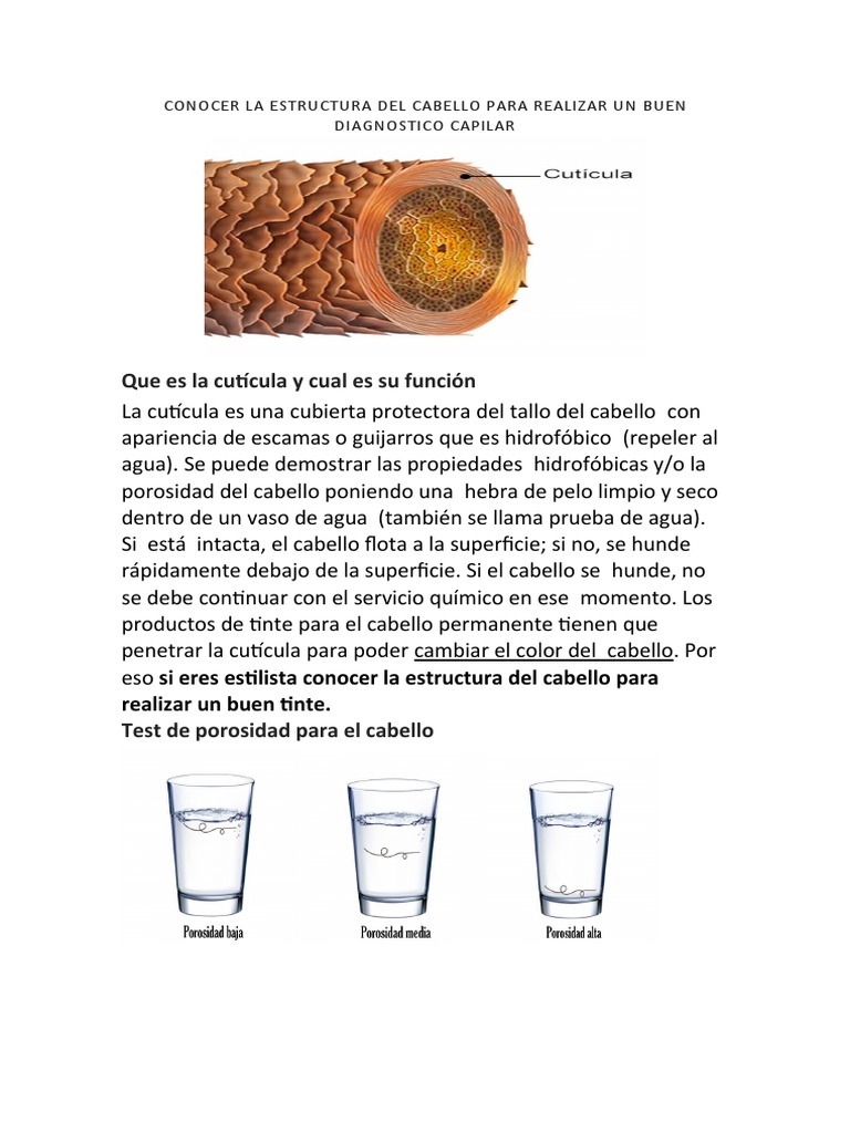 CONOCER LA ESTRUCTURA DEL CABELLO PARA REALIZAR UN BUEN Diagnostico ...