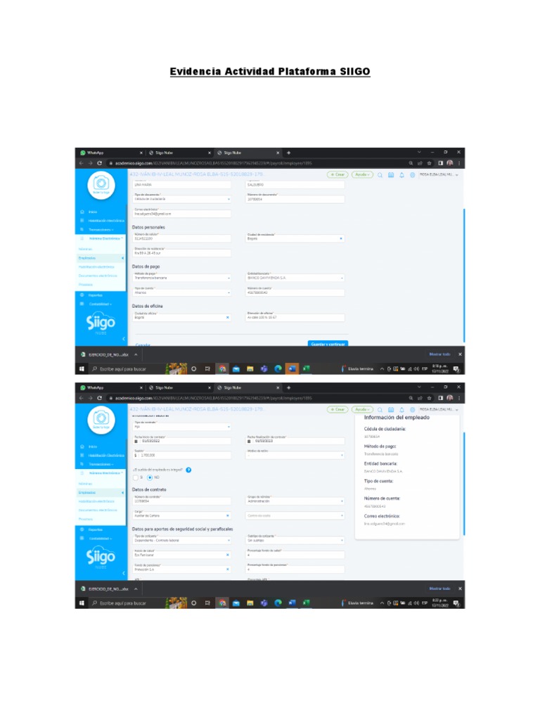 Plataforma Siigo Pdf