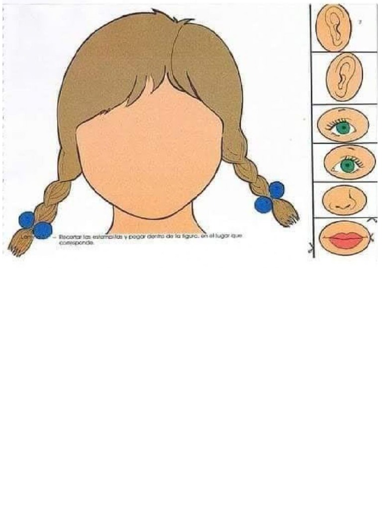 Partes de Cara | PDF