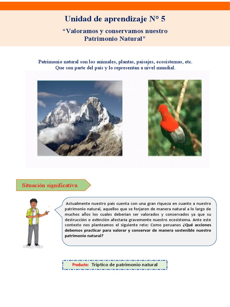 UNI. PATRIMONIO NATURAL 4to 2024 | PDF