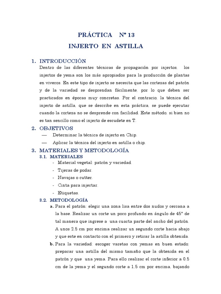 GUIA PRACTICAS 13. Injerto en Astilla | PDF