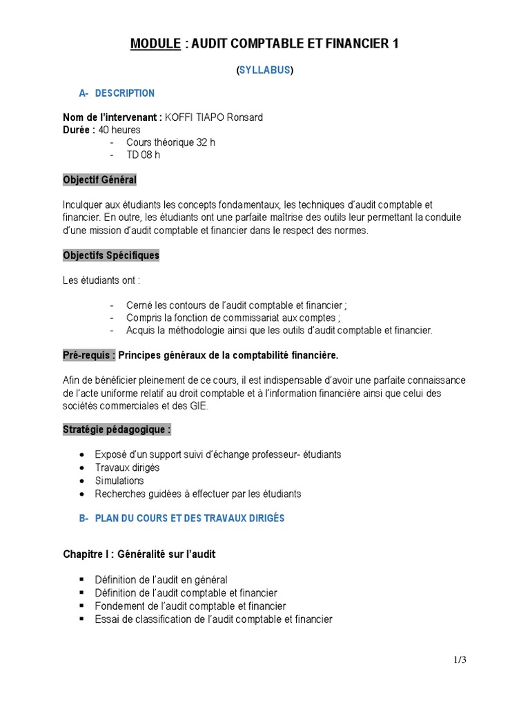 Syllabus - Audit Financier ECS 1 | PDF