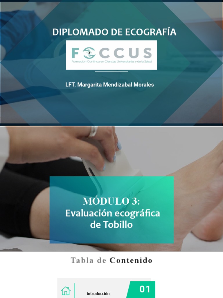 Evaluación Ecográfica de Tobillo | PDF | Tobillo | Pie