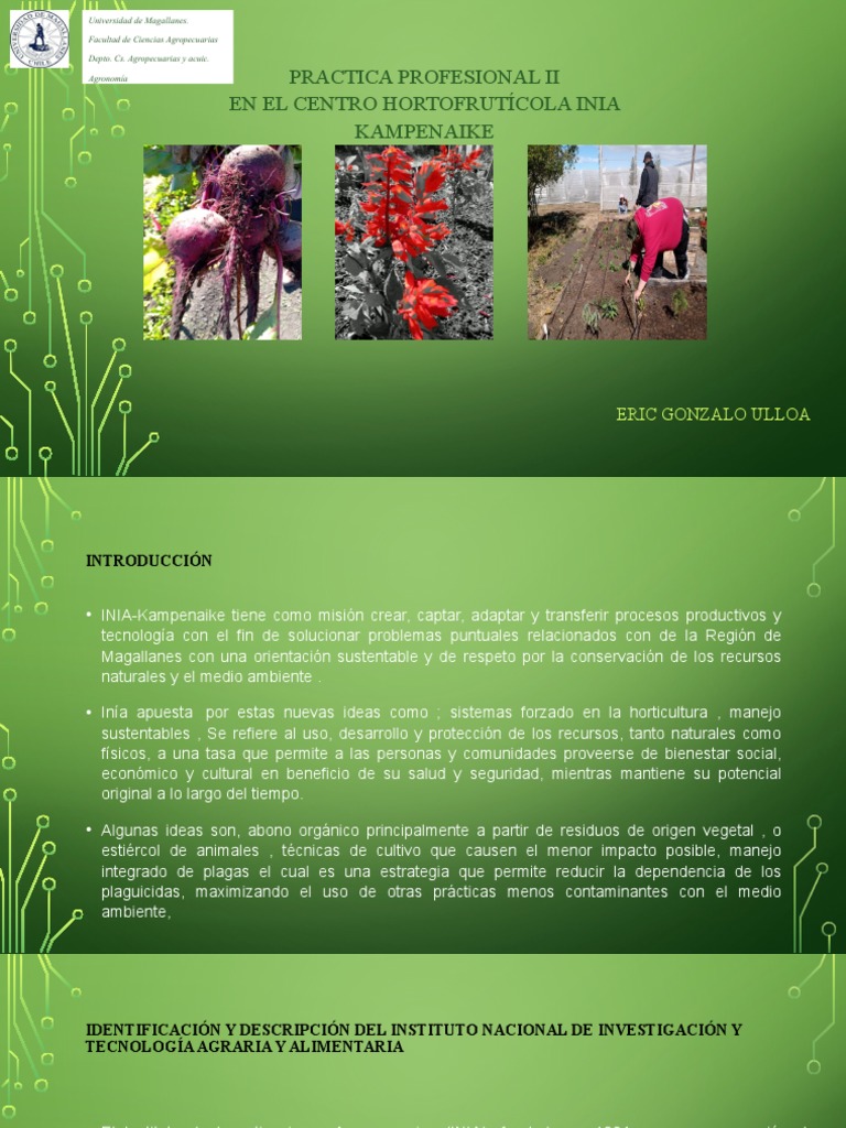 Prácticas Agroecológicas en INIA Kampenaike | PDF | Agricultura | Compost