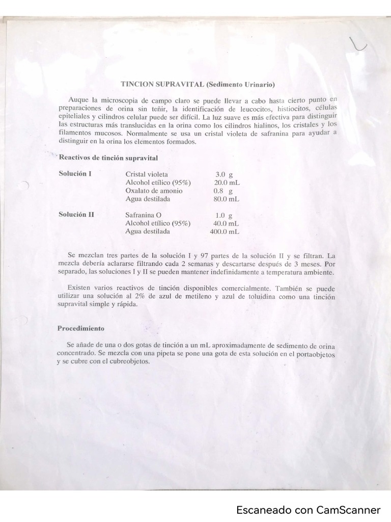 Preparacion Tincion Supravital | PDF
