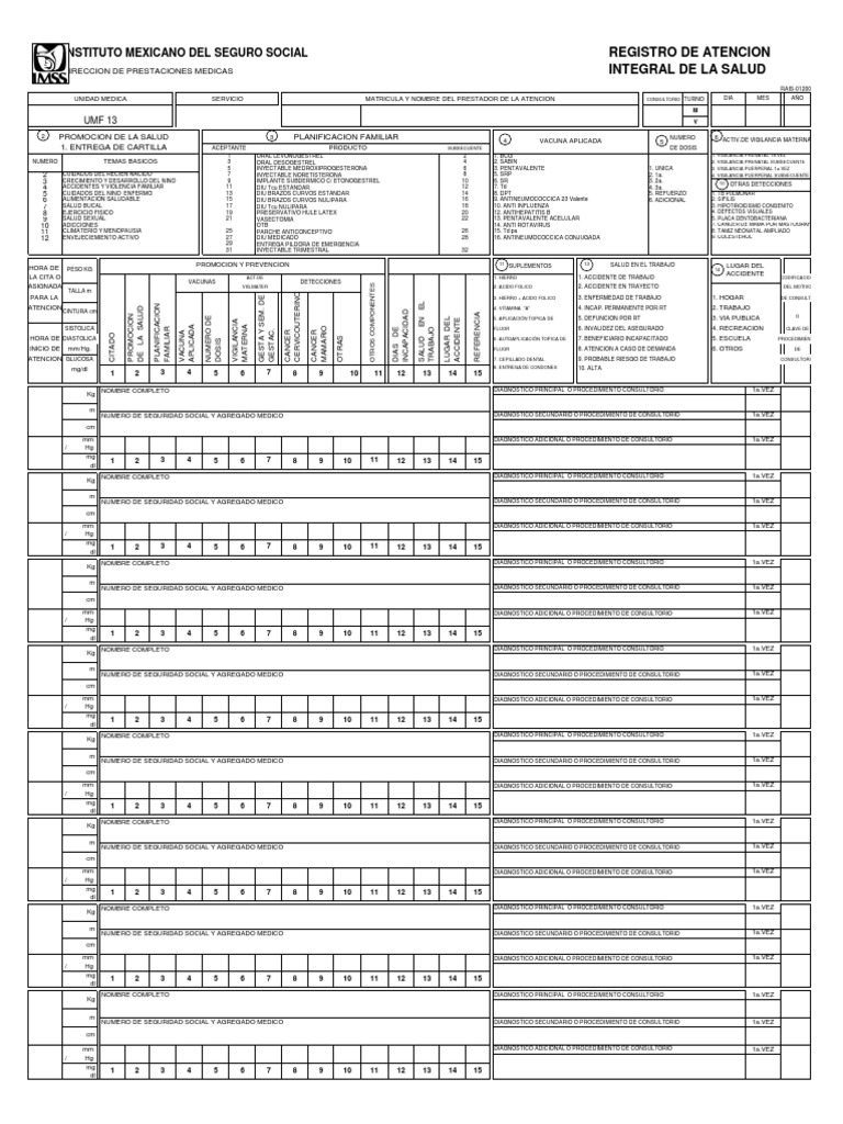 Formato Rais Electronico 2022 Modif | PDF