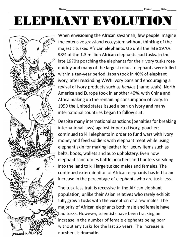 Elephant Evolution Student WS | PDF